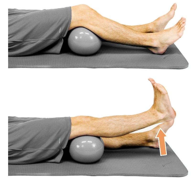 The Best 25 Vmo Muscle Strengthening Exercises Pdf Anytrendcatalyst